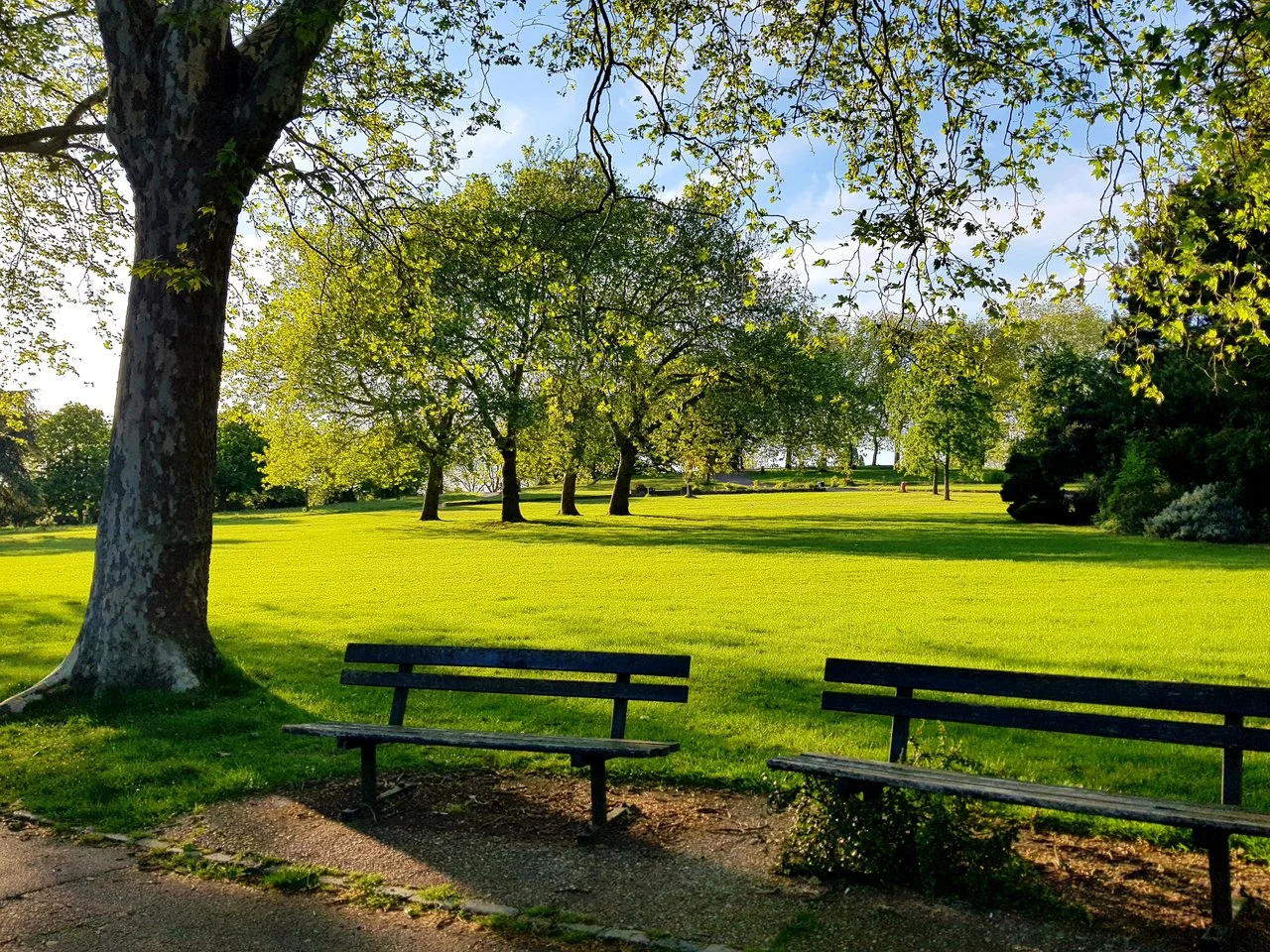 Bridge park